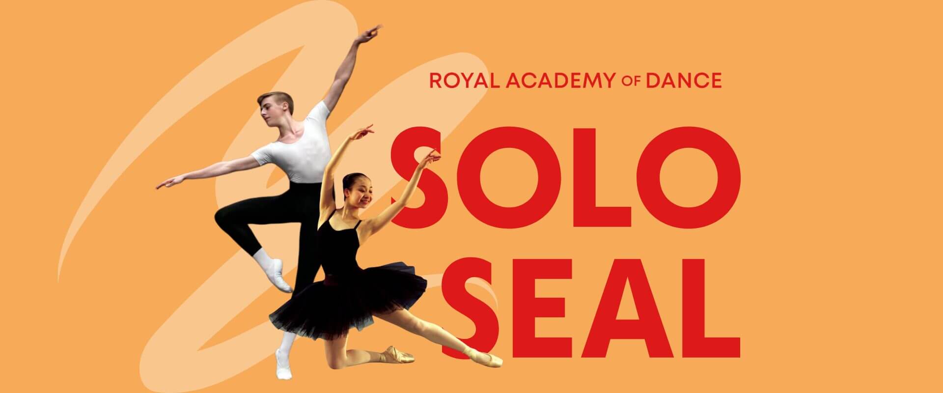 RAD New Zealand | NZ RAD Solo Seal Exam